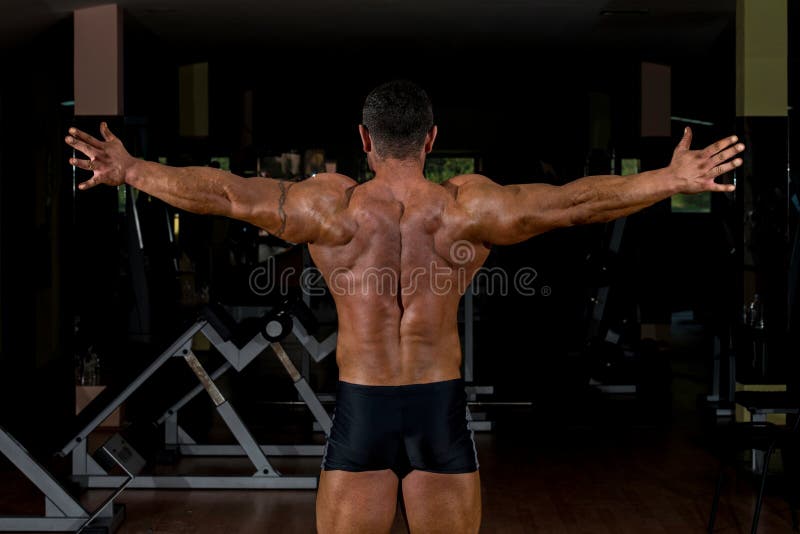 Muscular Athletic Body Builder Back Stock Photo - Image of defined ...