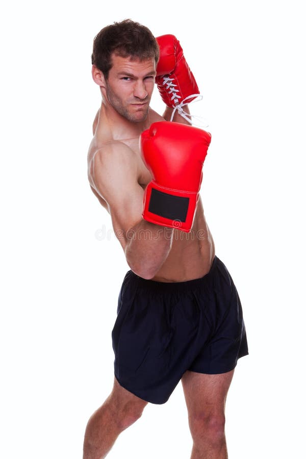 Male boxer isolated stock image. Image of sport, white - 16683707