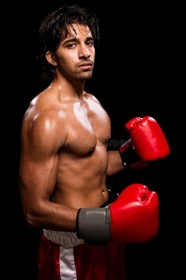 Male Boxer stock photo. Image of sports, adult, person - 39993368