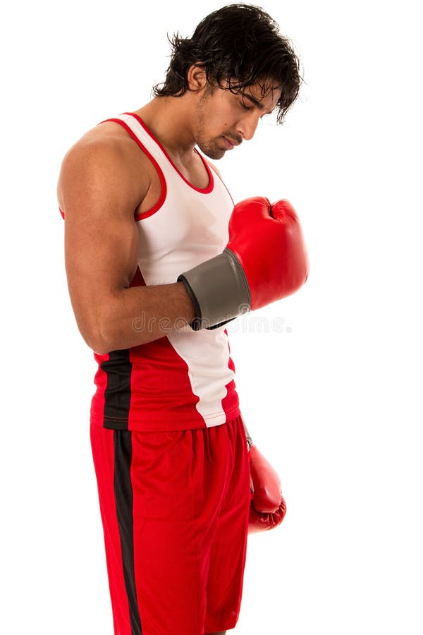 Male Boxer stock image. Image of white, sport, boxer - 39993147