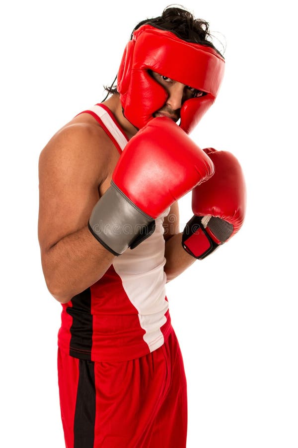 Male Boxer stock photo. Image of boxer, fighting, studio - 39993176