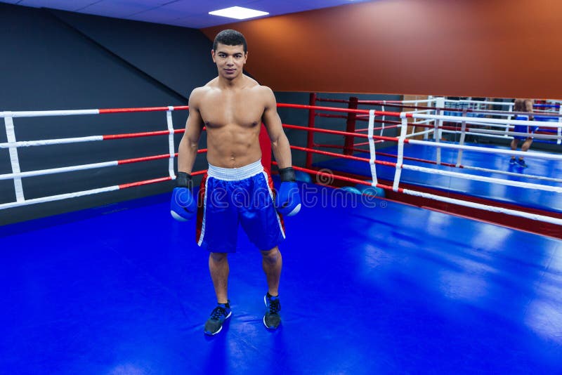 1,040 Male Boxer Standing Boxing Ring Stock Photos - Free & Royalty ...