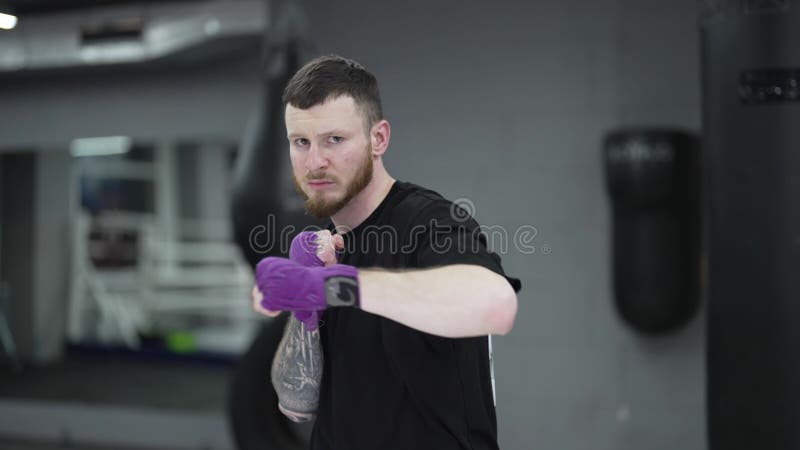 Training of a Male Boxer in the Gym Stock Footage - Video of male ...