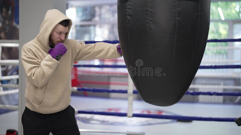 Process of Training a Male Boxer Stock Video - Video of caucasian ...