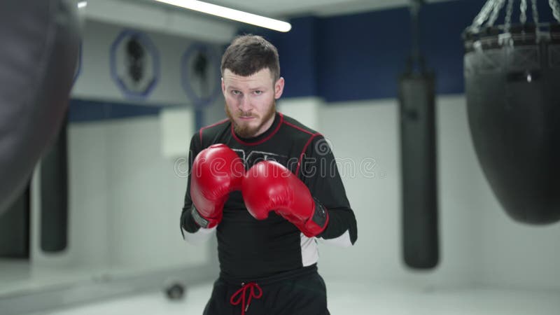 Process of Training a Male Boxer Stock Video - Video of fight, indoor ...