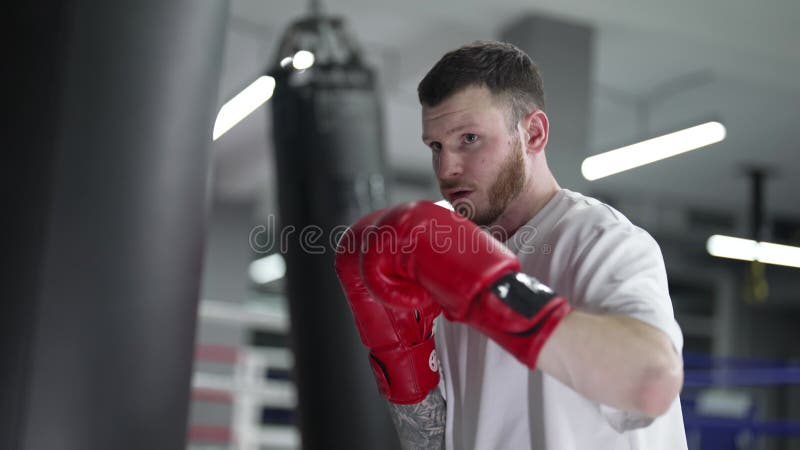 Process of Training a Male Boxer Stock Footage - Video of kick, motion ...