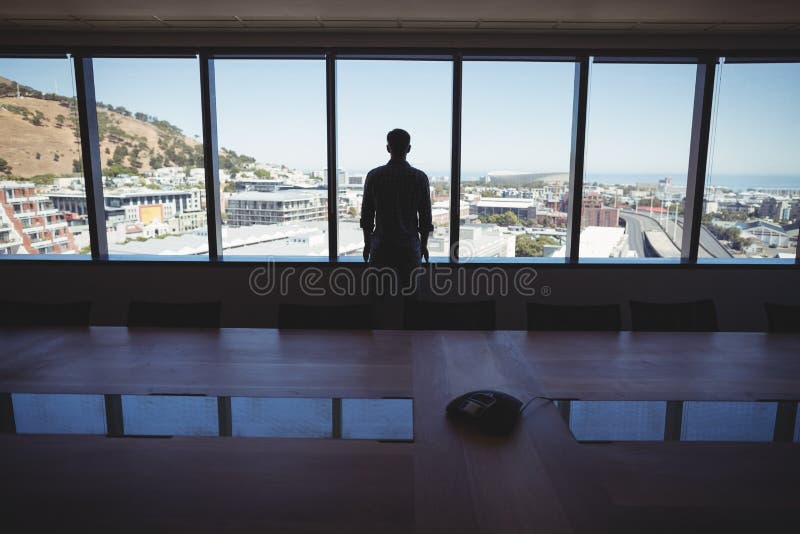 Executive by his window stock image. Image of male, fashion - 670253