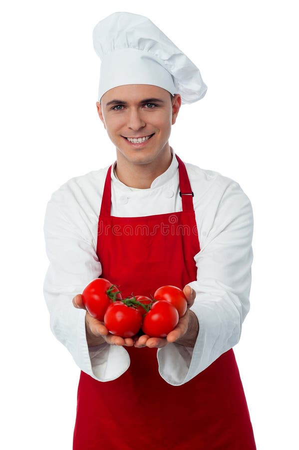 Male Chef Hands Showing Tomatoes Stock Image - Image of tomatoes, male ...