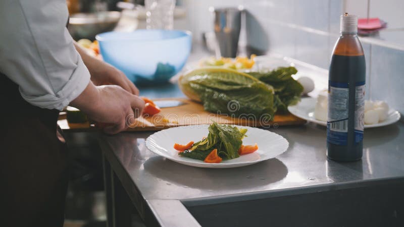 Male Chef Preparing Salad in Commercial Kitchen Stock Image - Image of ...