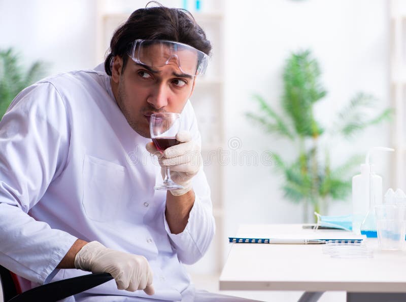 Male Chemist Examining Wine Samples at Lab Stock Photo - Image of drink ...