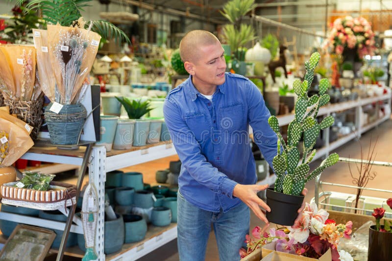 Male Customer Chooses Plastic Artificial Cactus in Flower Shop Stock ...