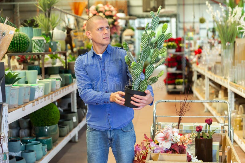 Male Customer Chooses Plastic Artificial Cactus in Flower Shop Stock ...