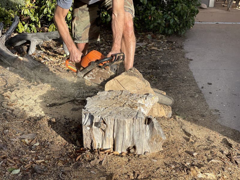 Male Cutting Log with Chainsaw Stock Photo - Image of power, cutting ...