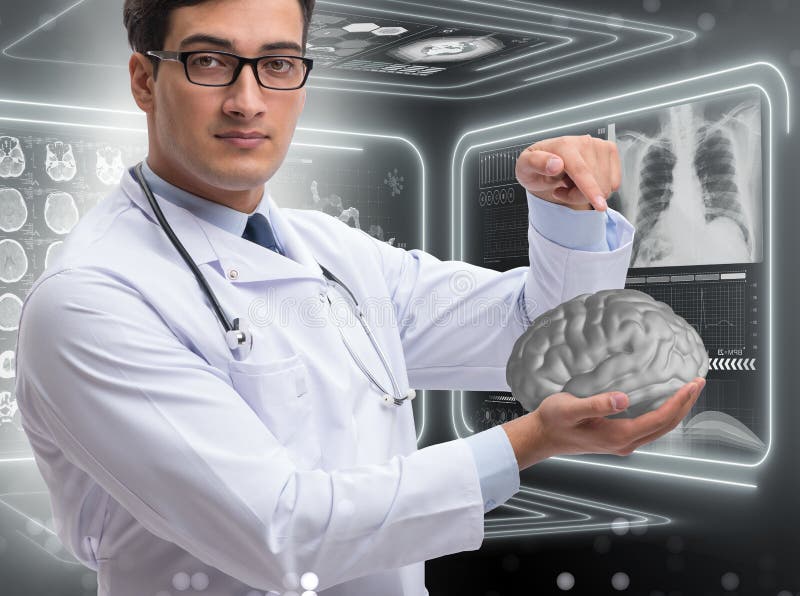 Male Doctor with the Brain in Medical Concept Stock Photo - Image of ...