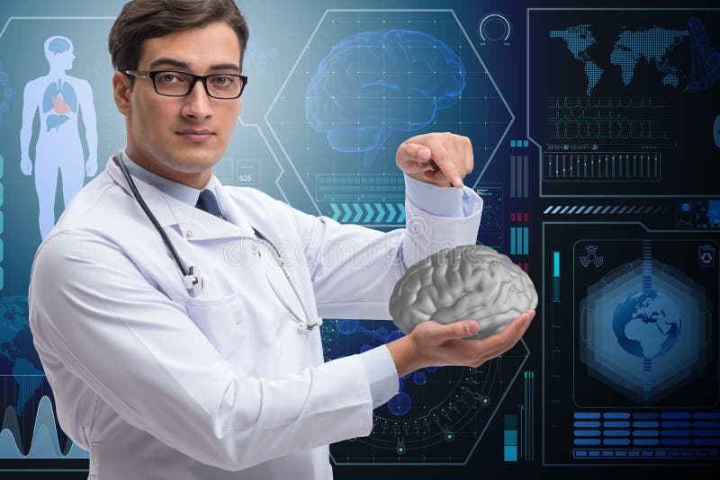 The Male Doctor with the Brain in Medical Concept Stock Image - Image ...
