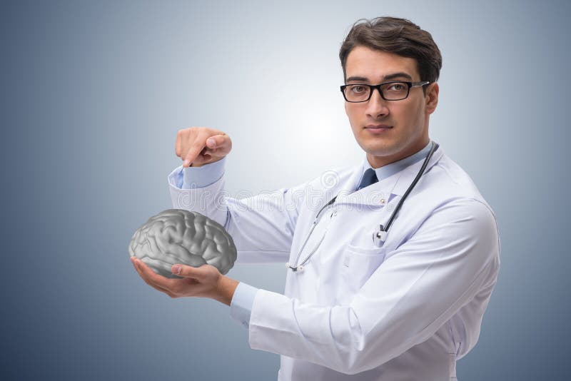 The Male Doctor with the Brain in Medical Concept Stock Image - Image ...