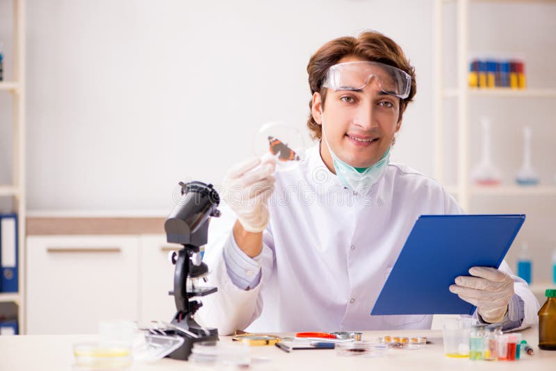 The Male Entomologist Working in the Lab on New Species Stock Image ...