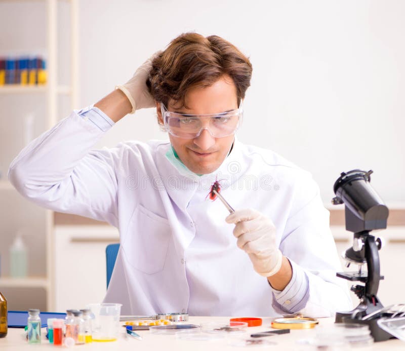 Male Entomologist Working in the Lab on New Species Stock Photo - Image ...