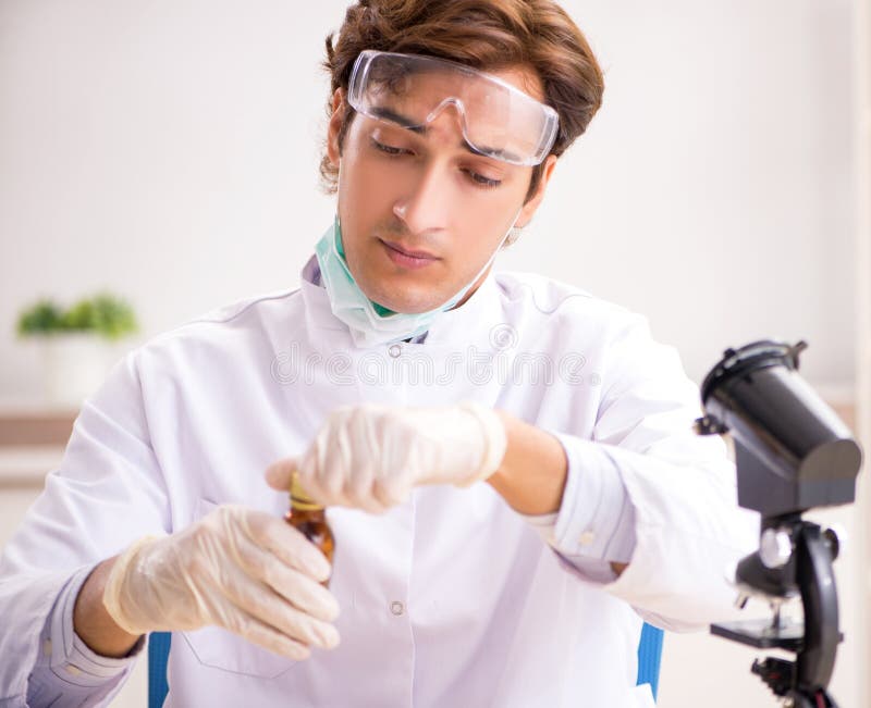 Male Entomologist Working in the Lab on New Species Stock Photo - Image ...