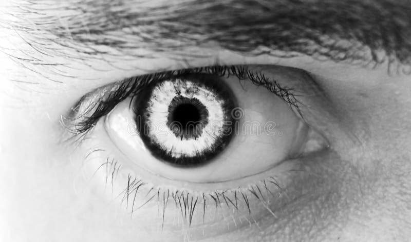 Male eye stock image. Image of sight, abstract, eyeball - 18502329