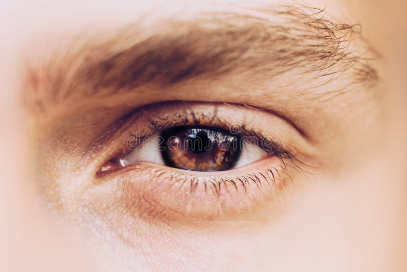 Male Eye Close Up. Man Looks into the Frame Stock Photo - Image of ...