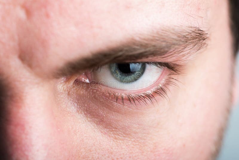 Male eye stock image. Image of people, brown, ophthalmology - 69654885