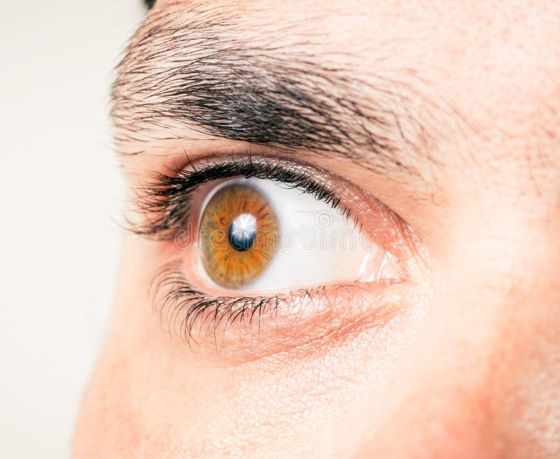 Male eye macro shot stock photo. Image of caucasian, shot - 73454040