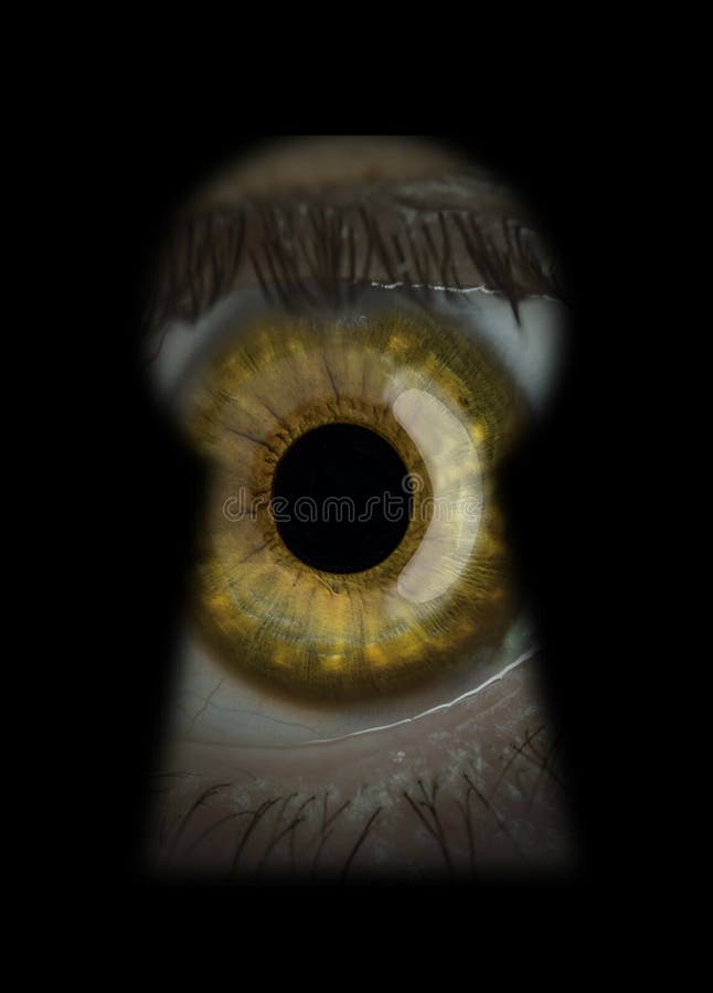 Keyhole eye stock image. Image of curious, female, brown - 7986409