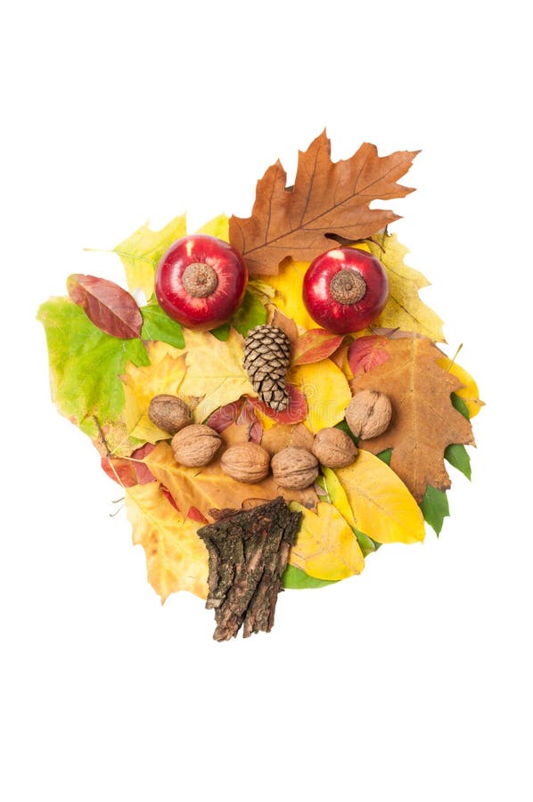 Male Face Made of Autumn Fall Leaves and Fall Decorations Stock Photo ...