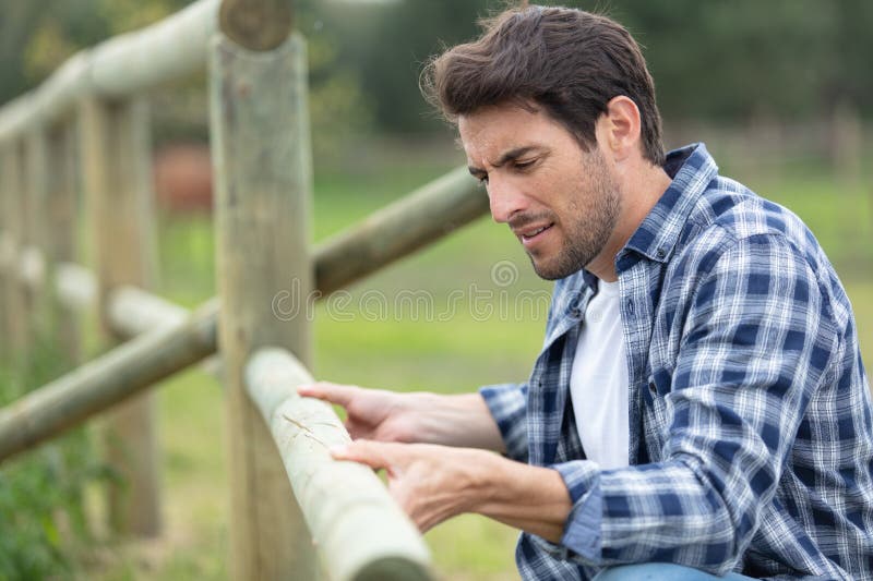 Male Farmer Standing Working on Fields Stock Image - Image of homestead ...