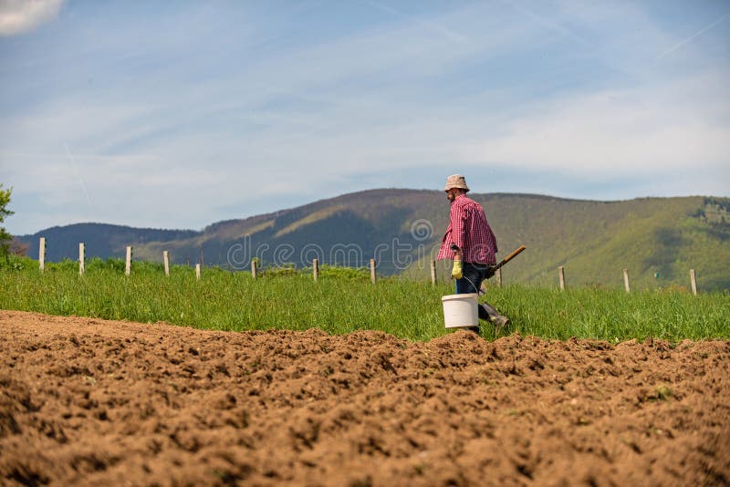 Male Farmer Working on an Agricultural Fields. Stock Photo - Image of ...