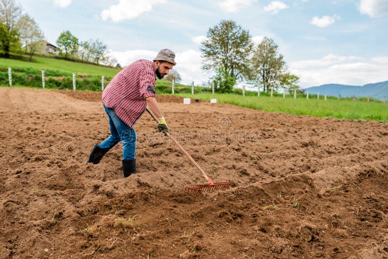 Male Farmer Working on an Agricultural Fields in Spring. Stock Photo ...