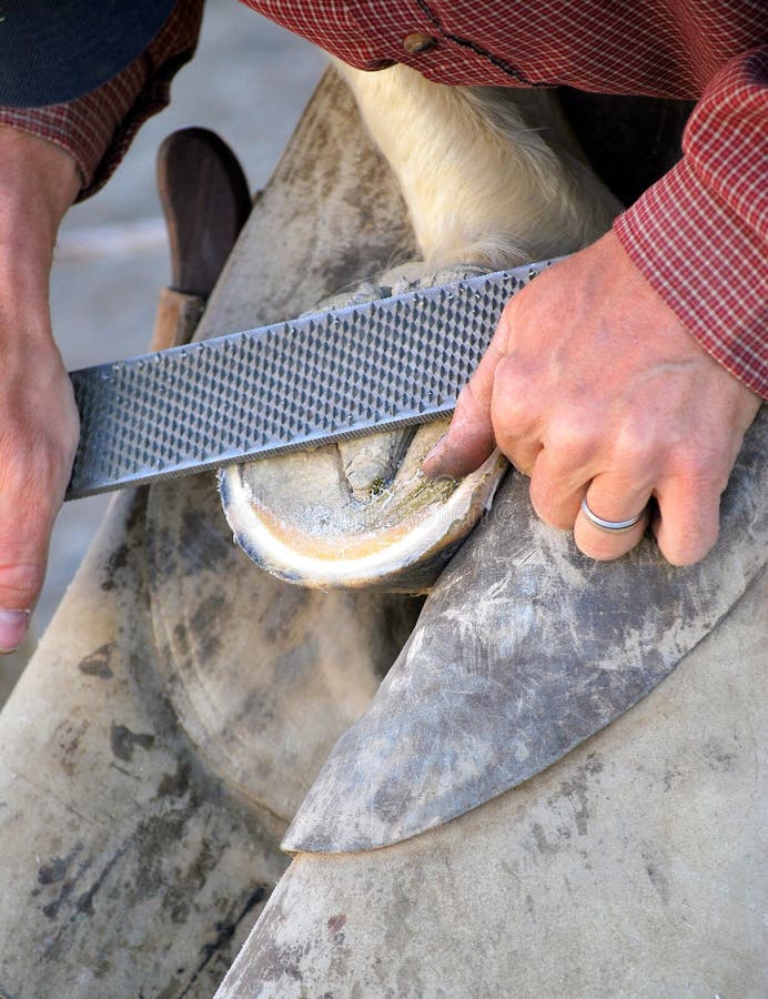 Male farrier. stock image. Image of horse, occupation - 40200727