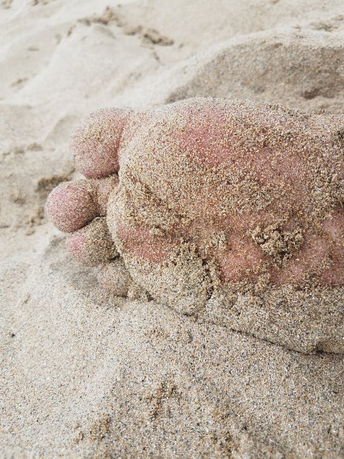 Toes in Sand stock image. Image of nail, sand, feet, digging - 577145
