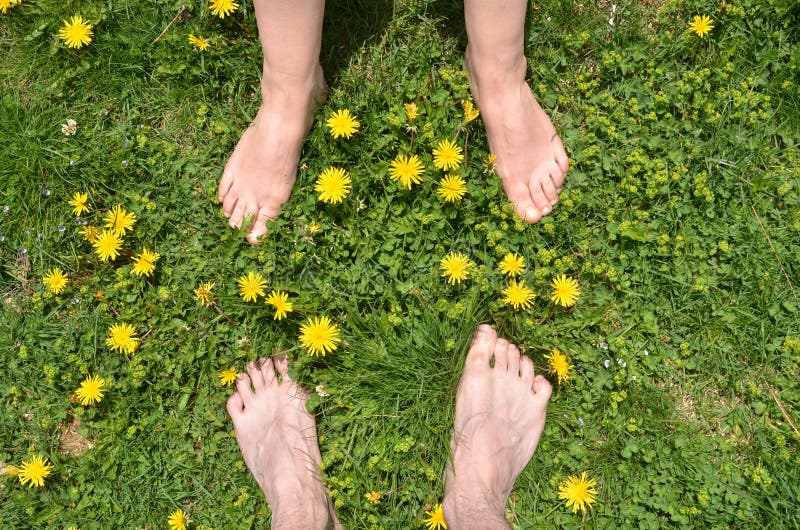 Male, Female Bare Feet in Grass, among Dandelions Stock Image - Image ... Male, Female Bare Feet in Grass, among Dandelions Stock Image - Image ...