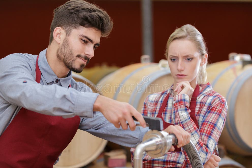 Male and Female Workers in Wine Cellar Stock Image - Image of adult ...