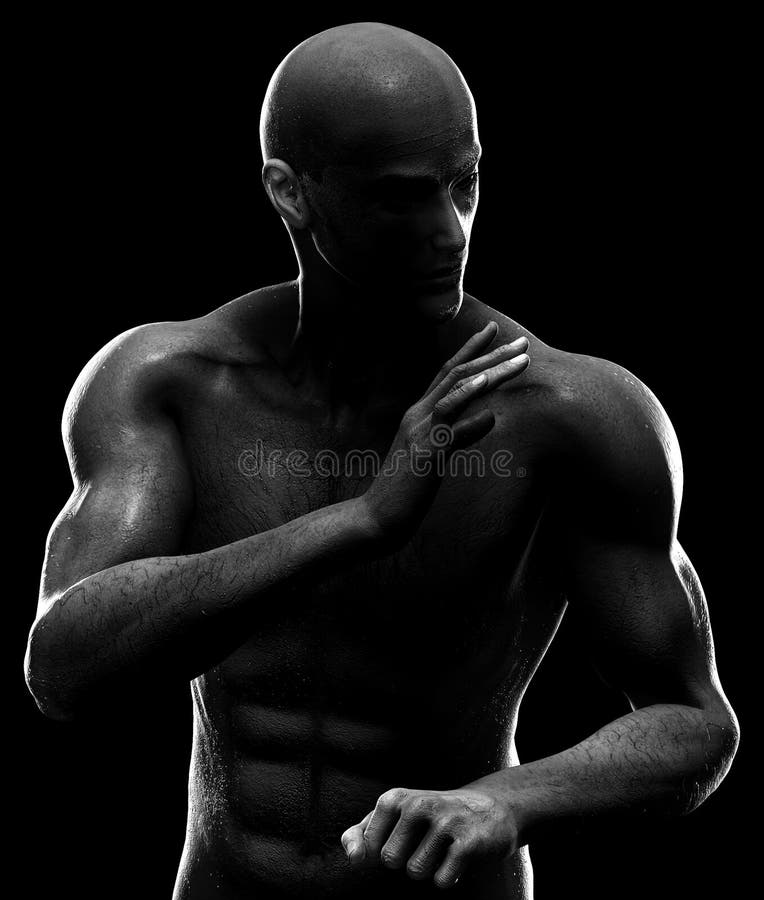Male Figure in Fighting Pose Stock Image - Image of kung, white: 2022467