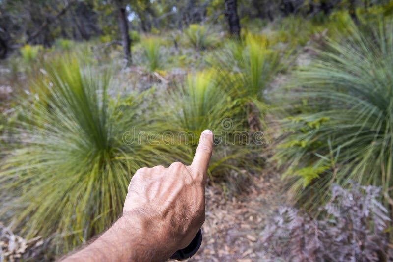 Male Finger Indicating Direction on a Countryside Trail Stock Photo ...