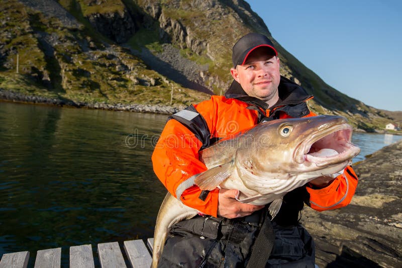 Male Fisherman Holding a Huge Fish Cod Stock Photo - Image of lake ...