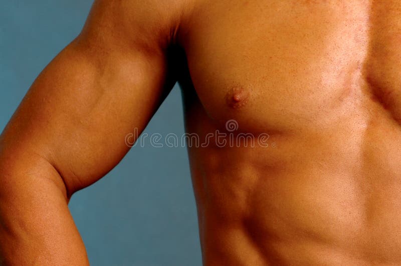 Male form 2 stock image. Image of nipple, dude, muscle - 800863