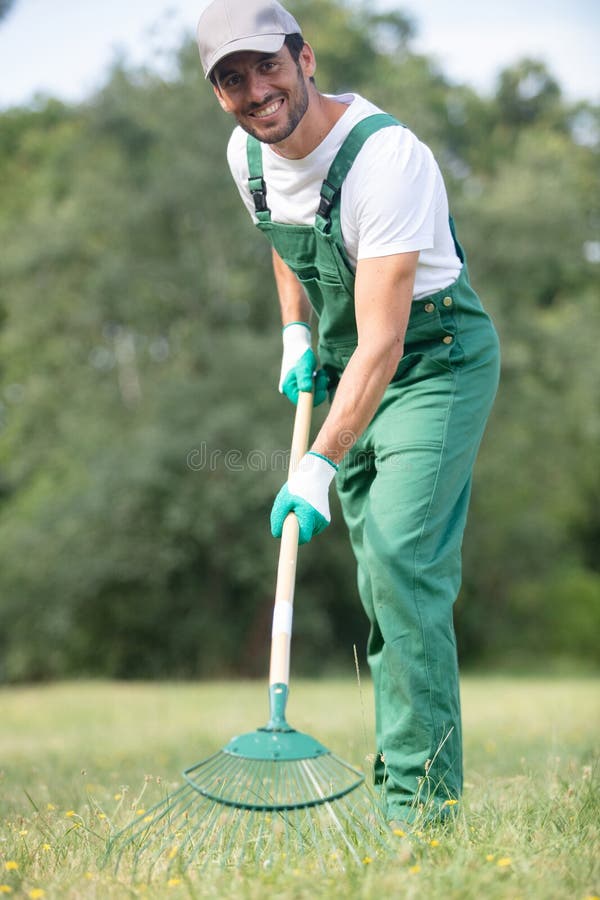 Male Gardener Using Rake in Meadow Stock Photo - Image of rake, view ...