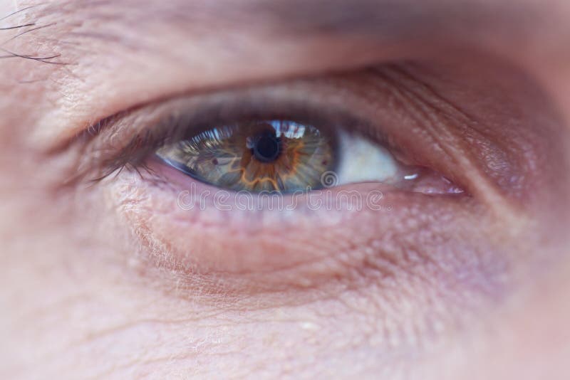 Male grey eye stock photo. Image of cover, eyelid, male - 32354442