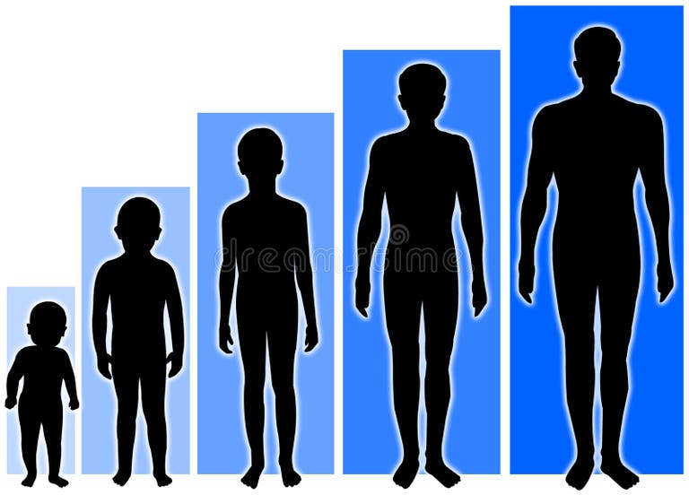 Puberty Stages Stock Illustrations – 51 Puberty Stages Stock ...