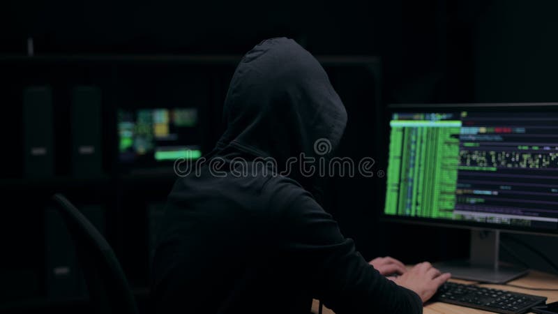 Male Hacker Back View stock video. Video of programmer - 203119083