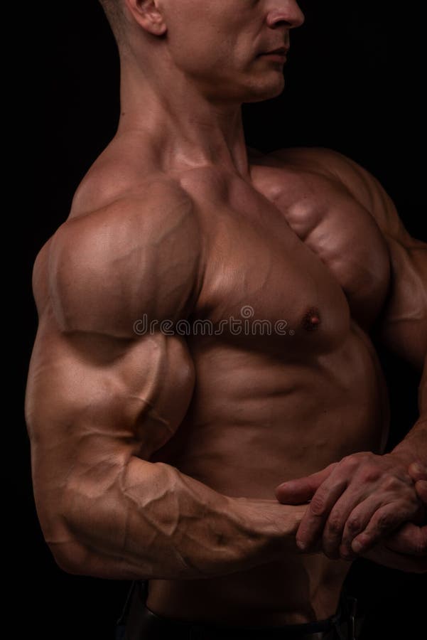 Male hand with biceps stock image. Image of model, muscular - 169689507