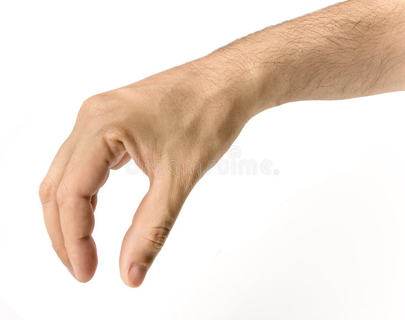 Male hand stock image. Image of hand, people, white, nonverbal - 8203815
