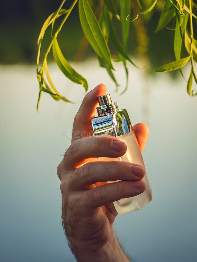 Hand Holding Perfume Bottle Stock Image - Image of freshness, scented ...