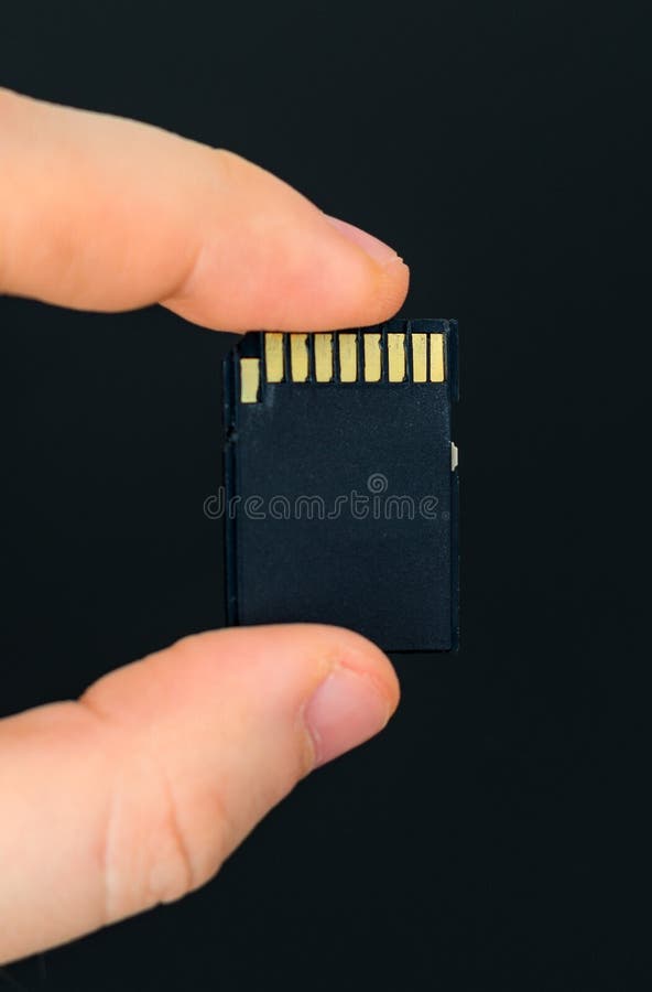 Male Hand Holding Sd Card Stock Photos - Free & Royalty-Free Stock ...