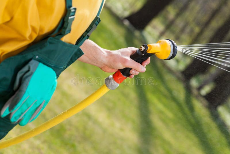 Male Hand with a Hose Watering Grass Stock Image - Image of cultivated ...