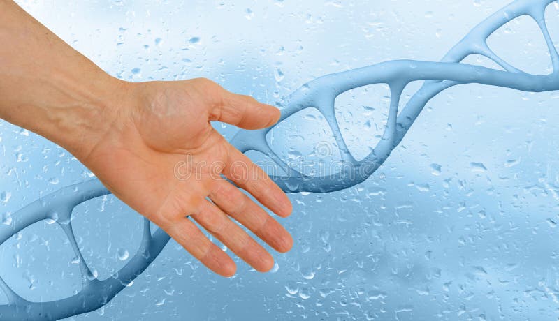 Male Hand, Human Dna Structure with Helix, Deoxyribonucleic Acid ...